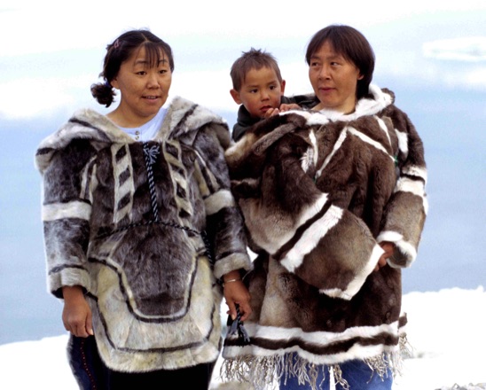 Social Studies | Regions of Canada | Arctic Region