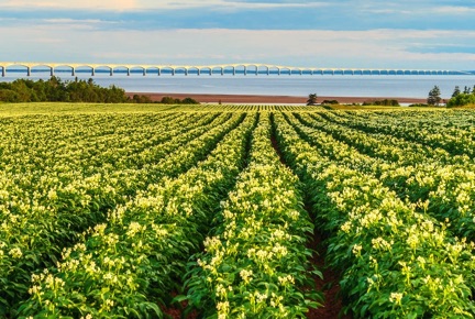 Social Studies | Regions of Canada | Atlantic Region